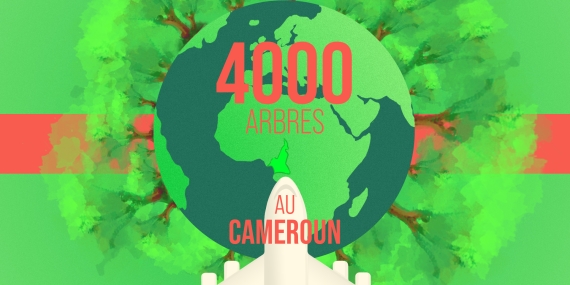 Razel-Bec taxation interne environnement | Fayat Groupe