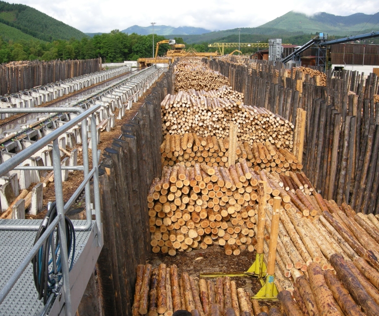 Réalisation portiques a grumes et chariot transfert - ADC