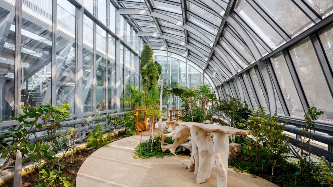 Groupe Fayat, groupe français de la construction